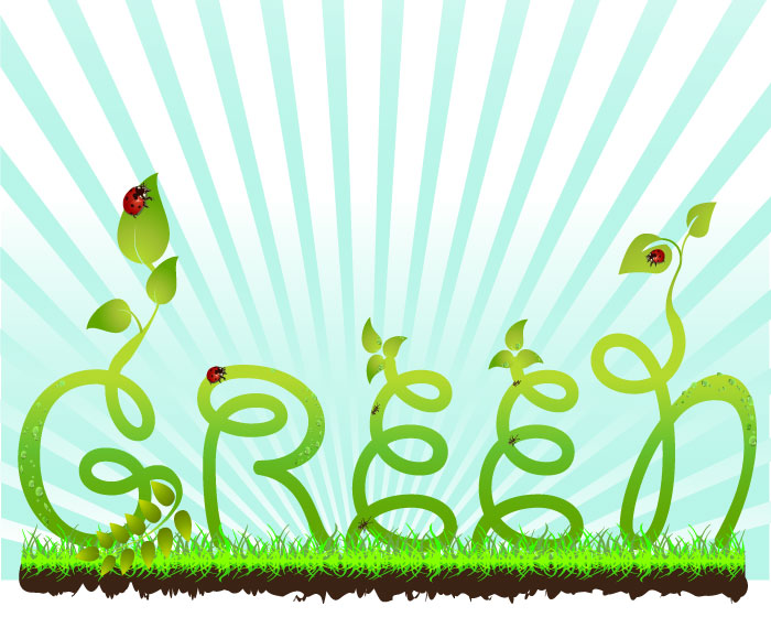 How to Make Your Home Greener